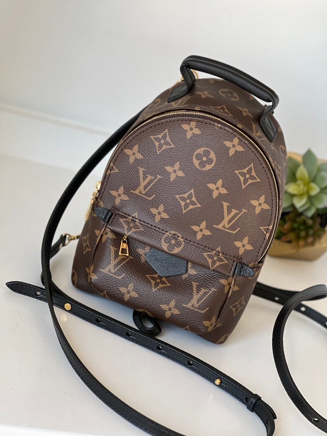 Louis Vuitton Palm Springs Mini Monogram - LVLENKA Luxury Consignment